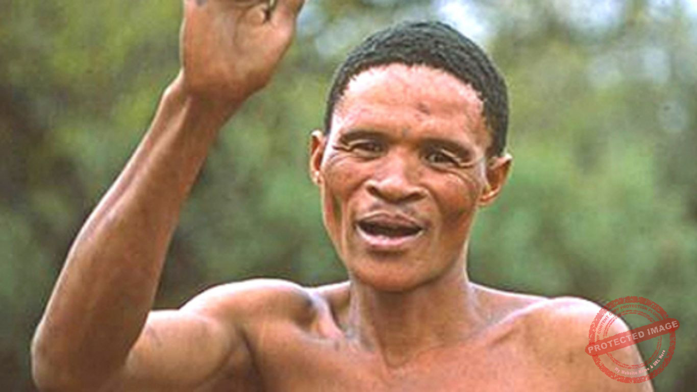 Unraveling The Enigma, Esama Igbenidion - TELL Magazine